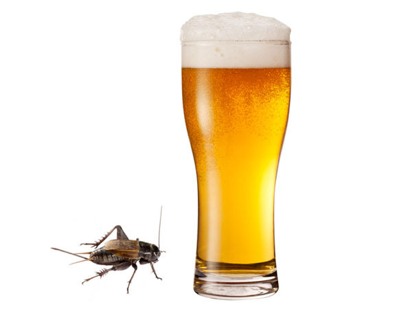 Brew News: Bugs in Beer, on Purpose + By Accident